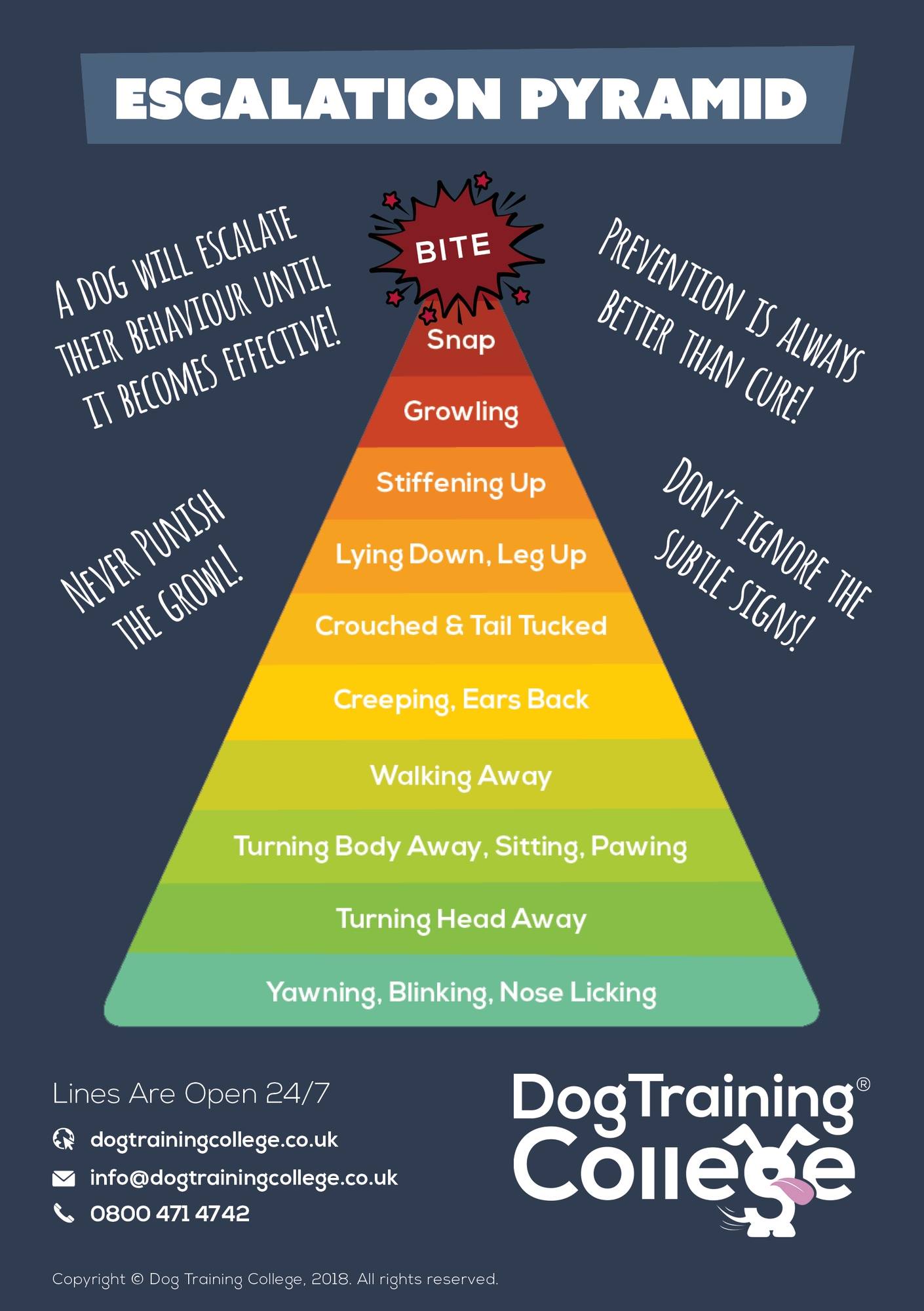 No Growling, No Biting — 3 Second Rule To Avoid Injury – Tap That Brain